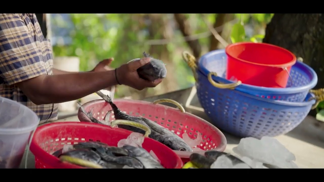 World Wetlands Day 2026