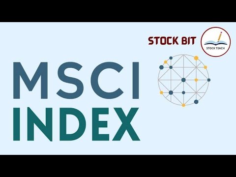 MSCI INDIA INDEX FUND INCLUSION AND EXCLUSIONS
