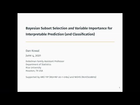 Bayesian Subset Selection and Variable Importance – PRIME Webinar – NIEHS – June 4, 2021