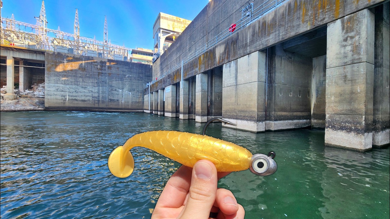 I Caught Something MASSIVE Under This Dam!!