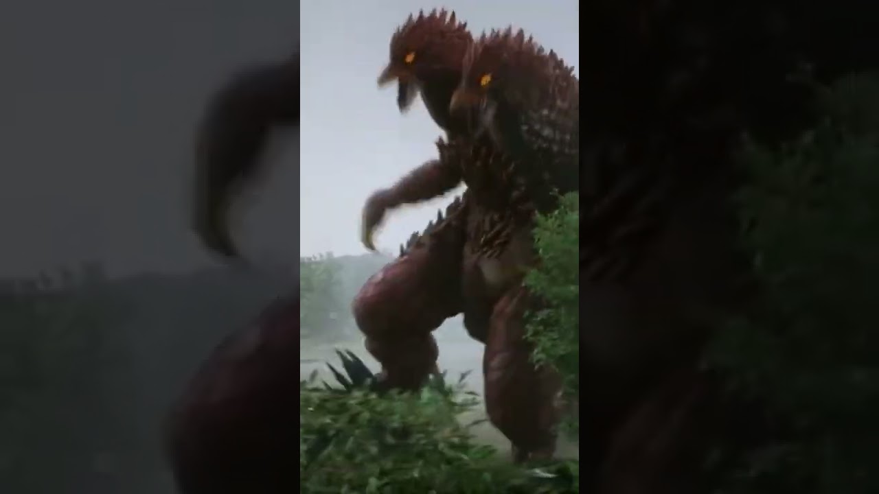 Pandon tramples kemur