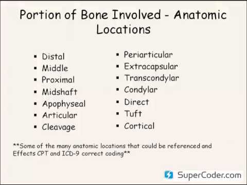 2012 Fracture Care Coding & Billing Guidelines for CPT Codes