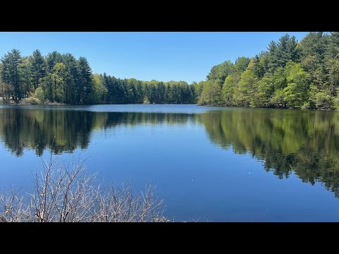 Stratford, Connecticut cops arrest Shelton’s Artan Ismaili, Charles ...