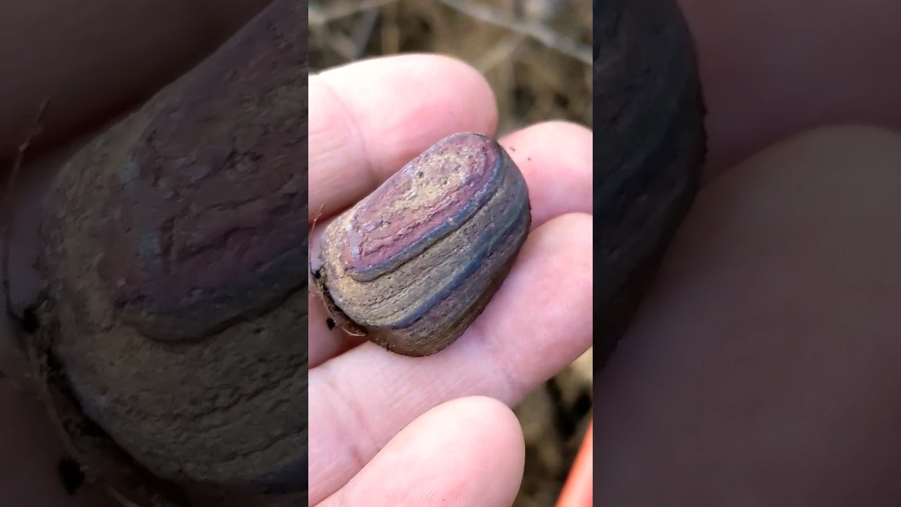 Layers Of COLOR In Sedimentary ROCK #rockhounding #rocks #geology #minerals