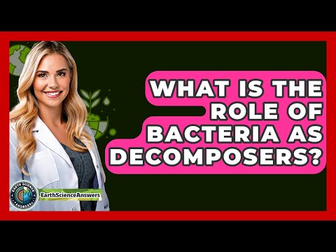 What Is The Role Of Bacteria As Decomposers? - Earth Science Answers