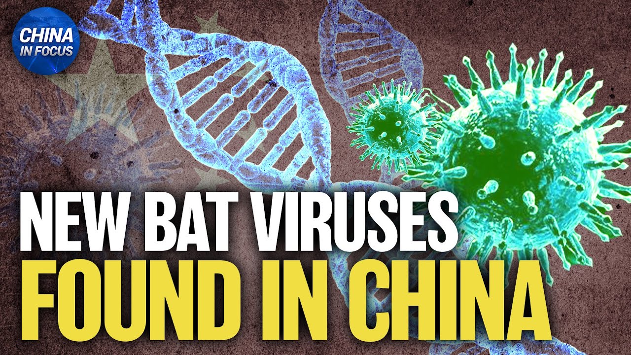 Scientists Discover 20 New Bat Viruses in China - Udumbara Falun Dafa ...