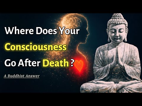 Where Does Your Consciousness Really Go After Death? Buddhism's Answer