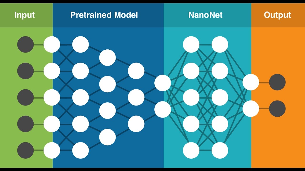 Reusing Pre trained Models - Deep Learning with Python