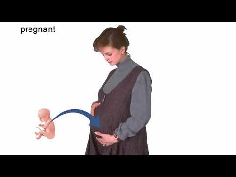 expectant meaning | Vocabulary for Kids | Children's Dictionary | Learn English Vocabulary