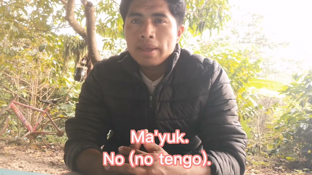 Phrases for beginners in Tseltal