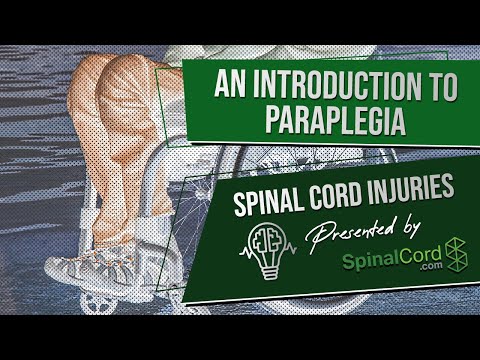 Paraplegic Definition, Explained, Causes, Recovery, Prognosis | Paraplegia | Spinal Cord Injury