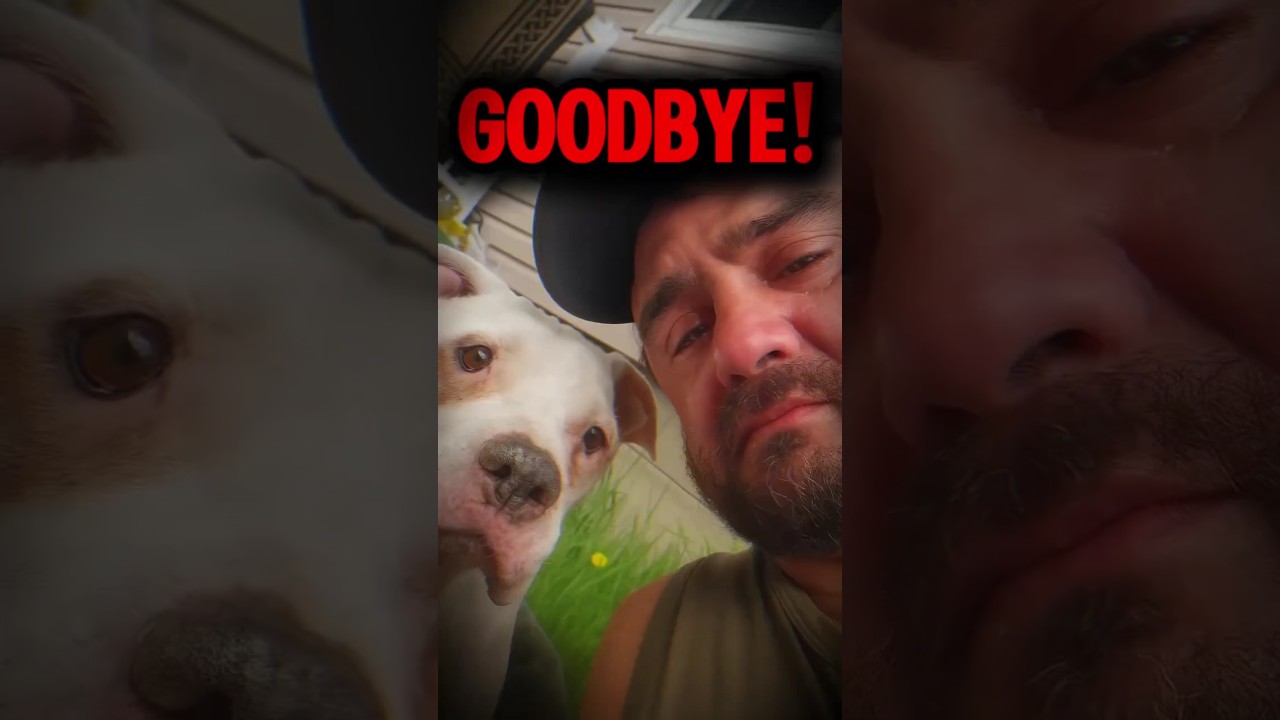 Esta fiel perrita pasó sus últimos momentos consolando a su dueña 💔