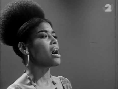 Freedom Suite | Travel Between The Pages