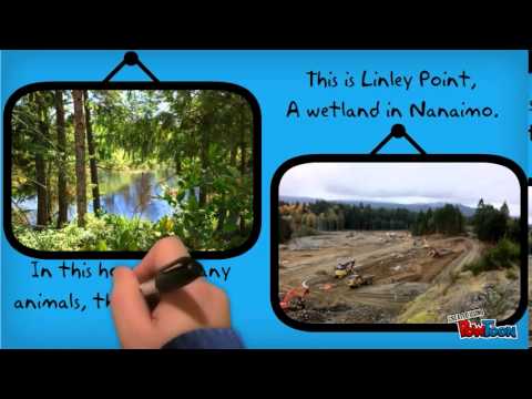 Habitat Destruction