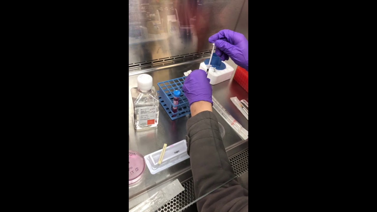 Multiplexing Imaging-Ready Microgravity Simulator