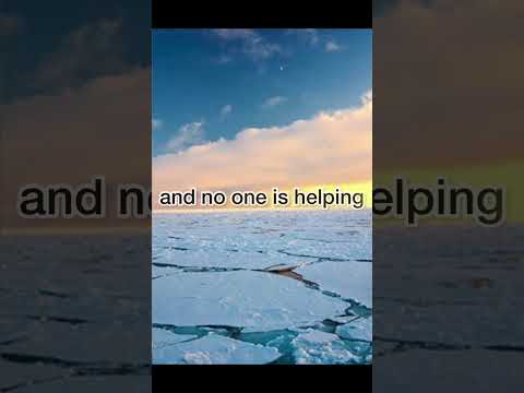 Dear 2045, (Full song) #savetheworld #shorts