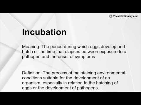 Incubation Meaning