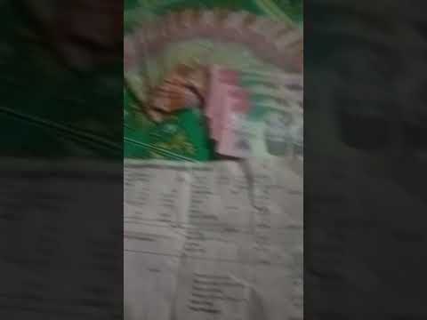 Segini Gaji ku Panen Sawit Di Kalimantan