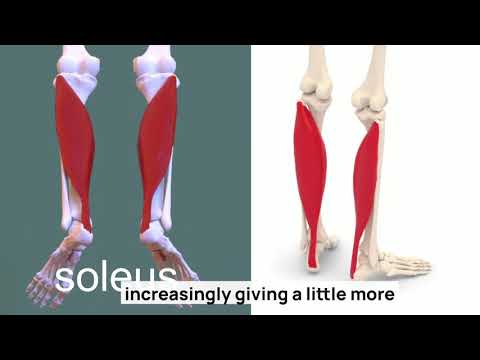 Thai Massage Jam® w/ Captions Feet Calves & Legs with Robert Gardner & Kristen Lumsden Austin, Texas