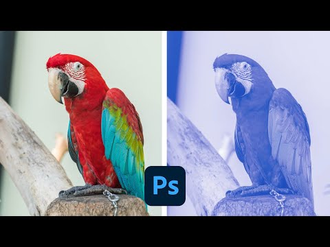 Converting the image to Pantone or spot color - Adobe Photoshop