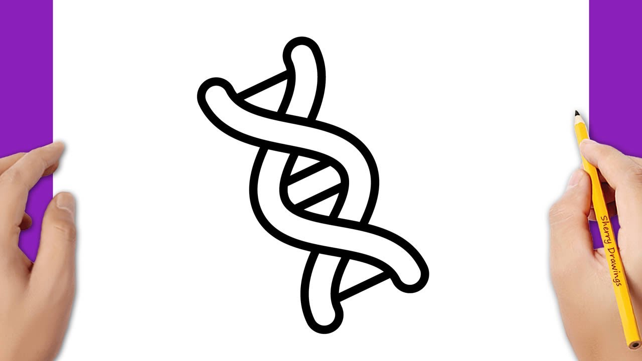 HOW TO DRAW A DNA STRAND EASY