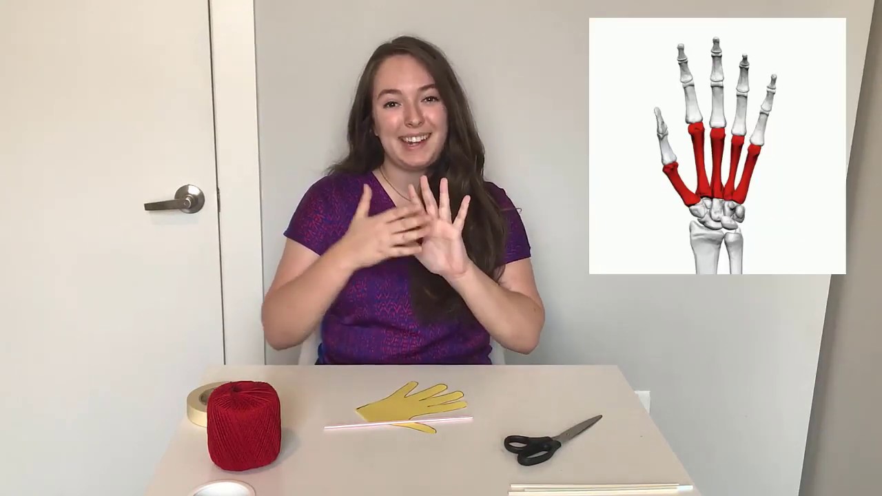 STEM Space At Home: Superhero Robotic Arm