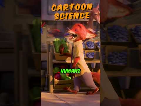 Why Do Zootopia Animals Walk Like Humans?