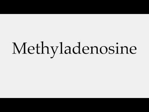 How to Pronounce Methyladenosine