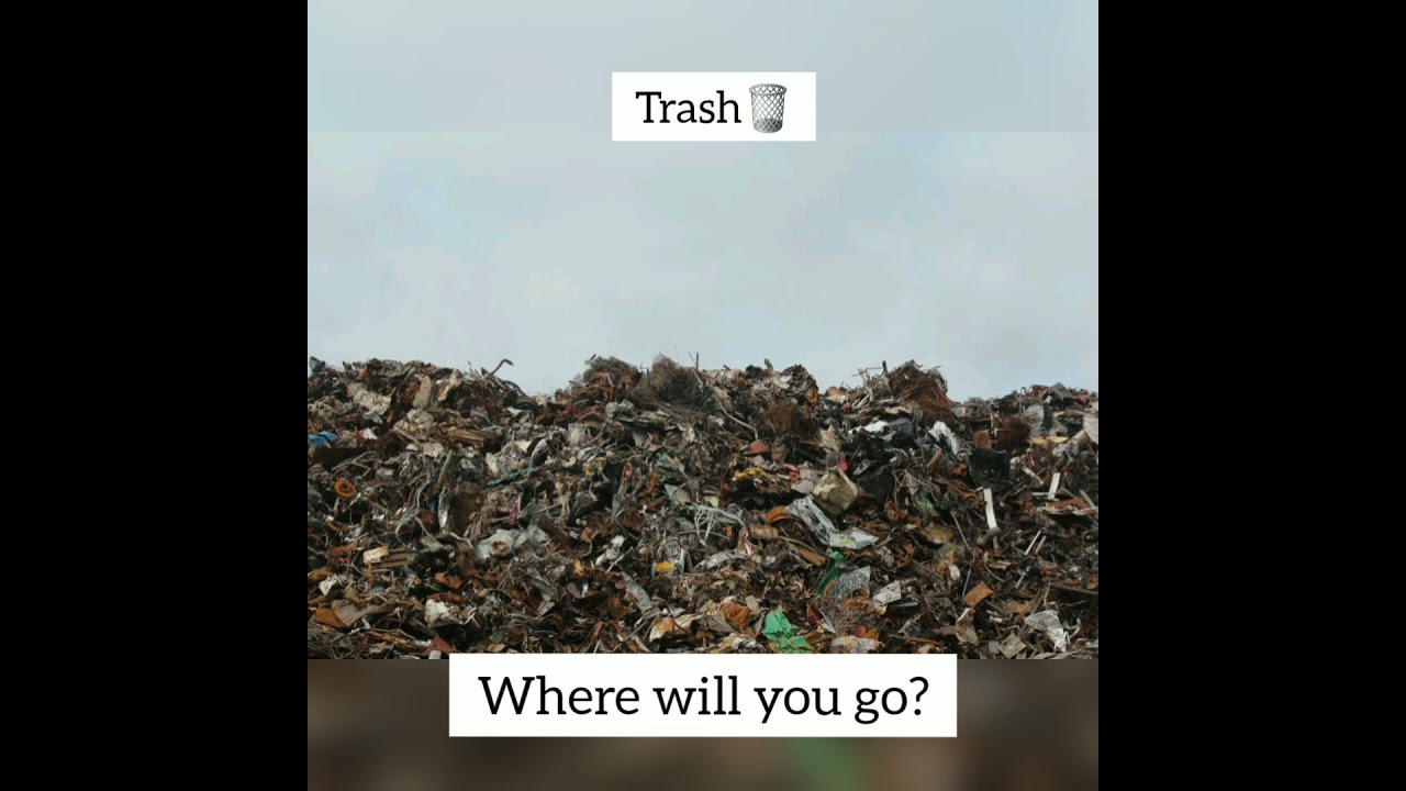 Earth day #earth_day #saveplanetearth