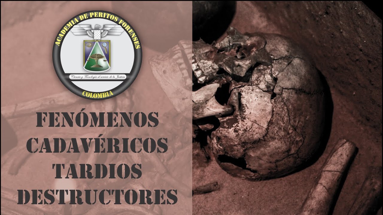 Destructive late postmortem phenomena