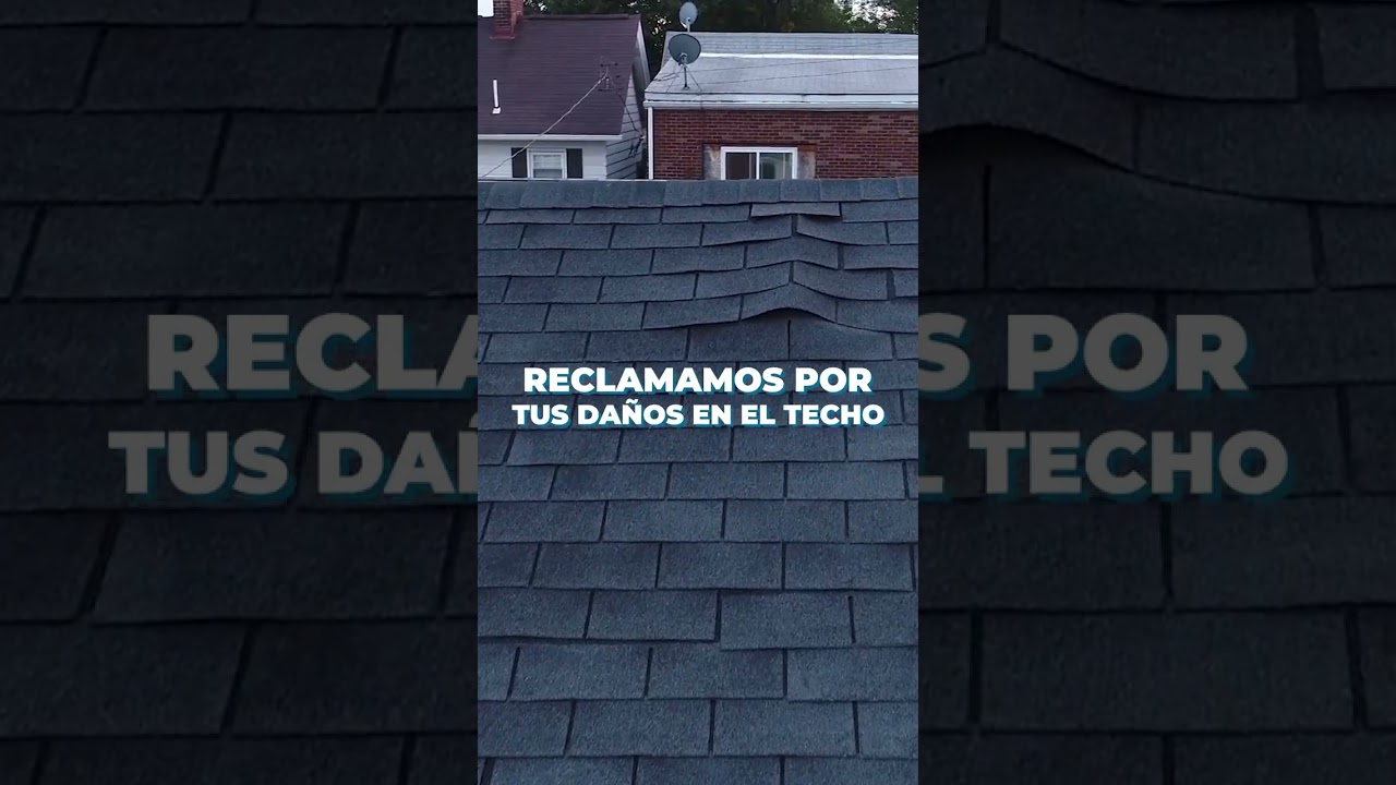 Reclamamos daños por techos al seguro