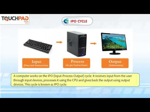 IPO Cycle