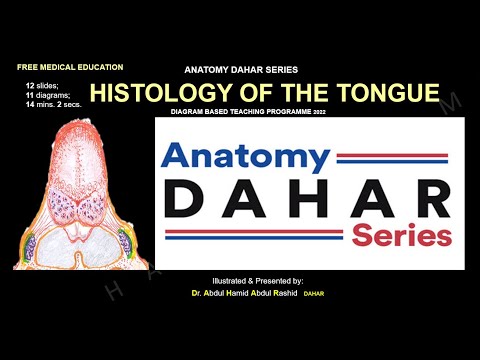 HISTOLOGY OF THE TONGUE, Anatomy DAHAR Series