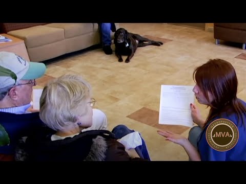 Dermatology at Metropolitan Veterinary Associates