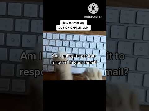 How to write an OUT OF OFFICE email. Work from home #corporatelife #cat #weekend #youtubeshorts