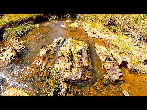 2wt fly fishing