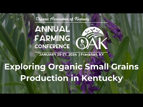 Exploring Organic Small Grains Production in Kentucky