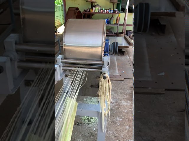 Banana Fiber Extractor - Bannana Fiber Extraction Machine Manufacturer ...