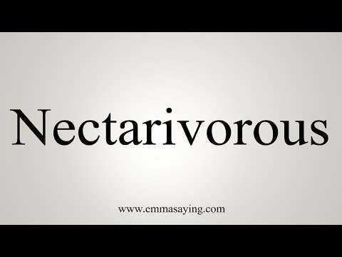 How To Say Nectarivorous