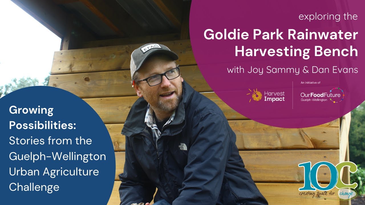 Goldie Park Rainwater Harvesting Bench | Growing Possibilities: Stories from the GWUAC