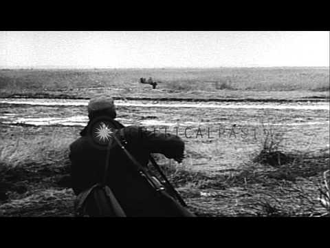 Hungarian refugees cross a canal in nigh, hide in marshlands and arrive at Austri...HD Stock Footage