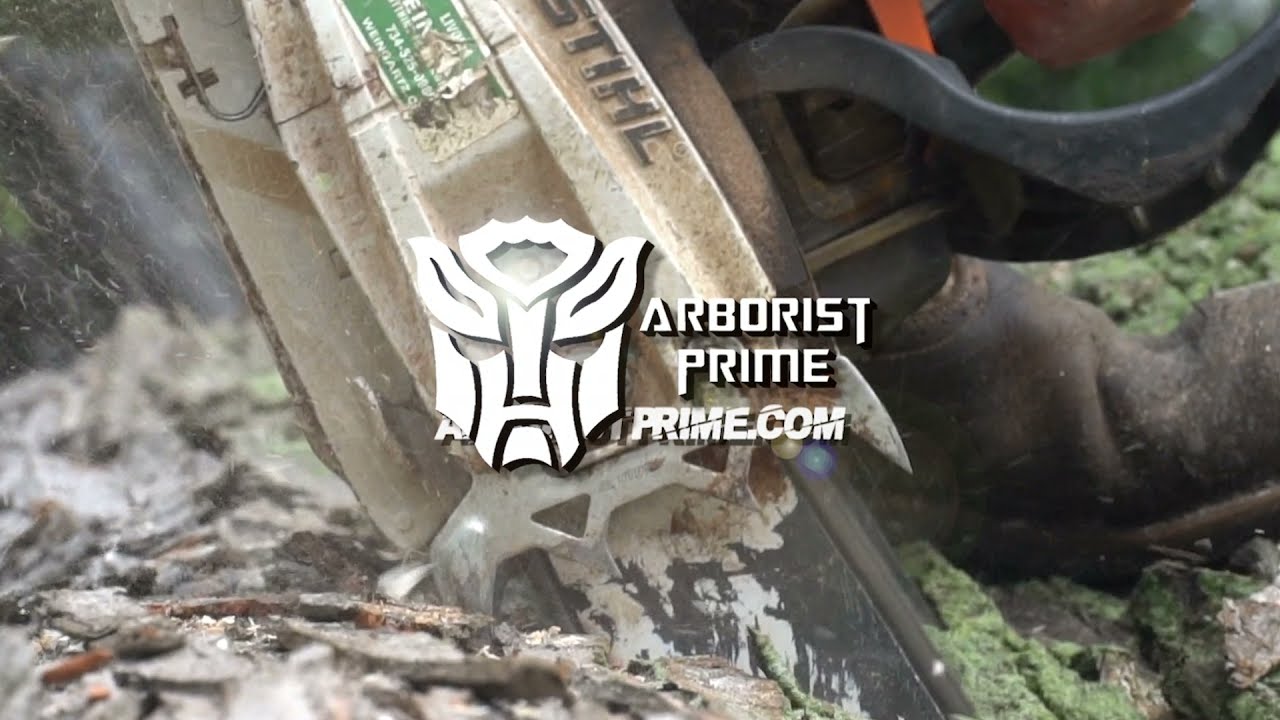 Arborist Prime Tree Service. Licensed and Insured Tree Service in Oakland County Michigan