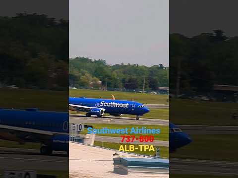 Southwest Airlines B737-800 Departure @Albany International Airport💙❤️💛