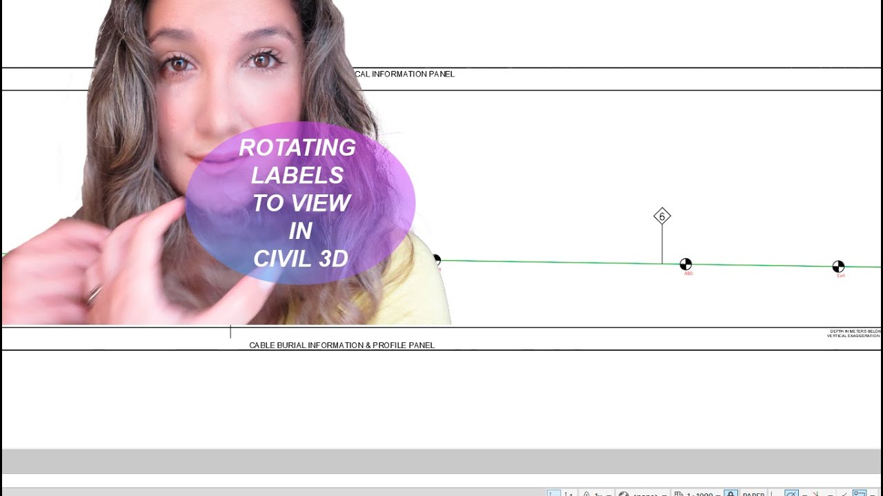 Rotating #civil3d elements without rotating #labels with cube and #dview command