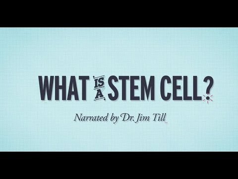 What is a stem cell? Narrated by Dr. Jim Till