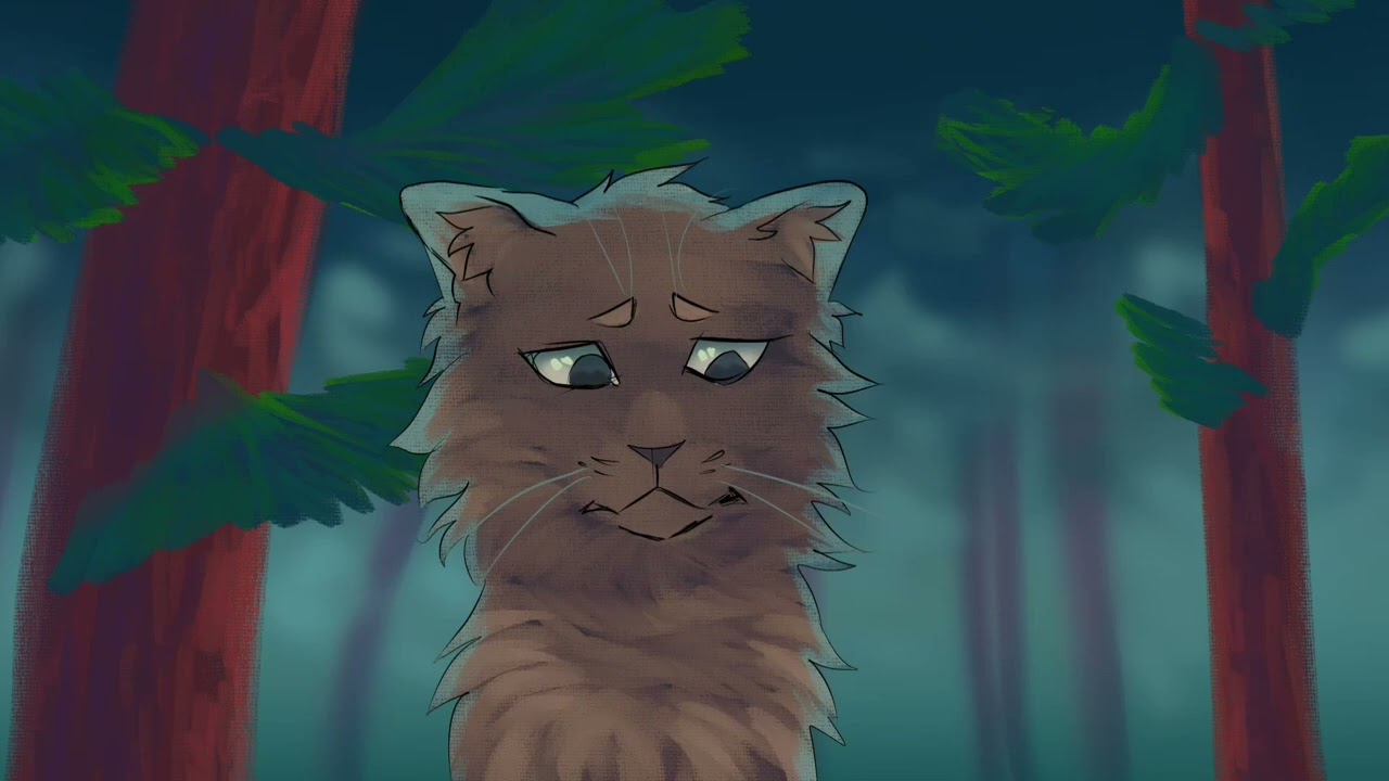 gloomy forest // animated cat gif