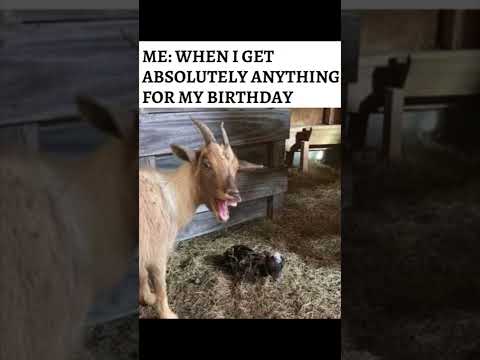 Laugh Out Loud memes #2