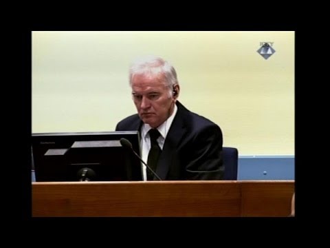 'Serbs fought in self defence', Mladic witness tells UN court