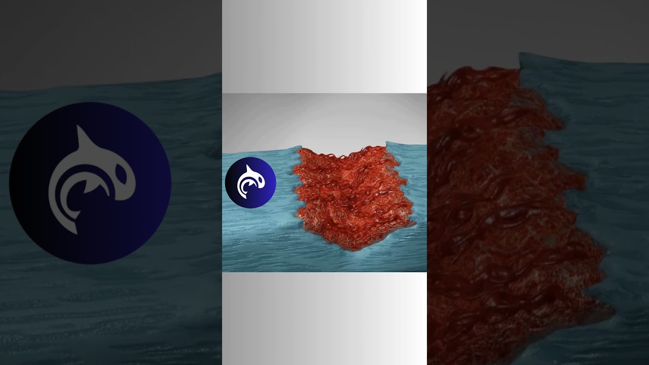 Soft-Tissue Healing Process - 3D Animation. #anatomy #healing #muscle