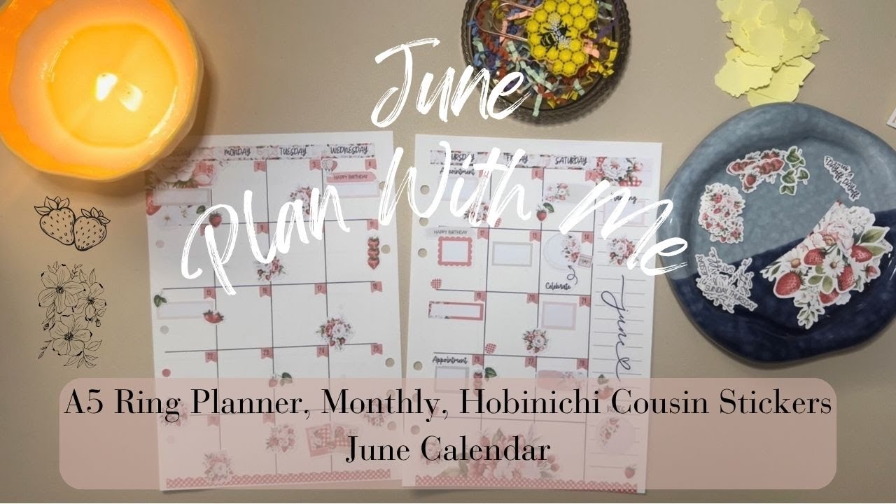 Monthly Plan With Me | June Calendar 2025 | A5 Ring Planner | Hobinichi Cousin Stickers
